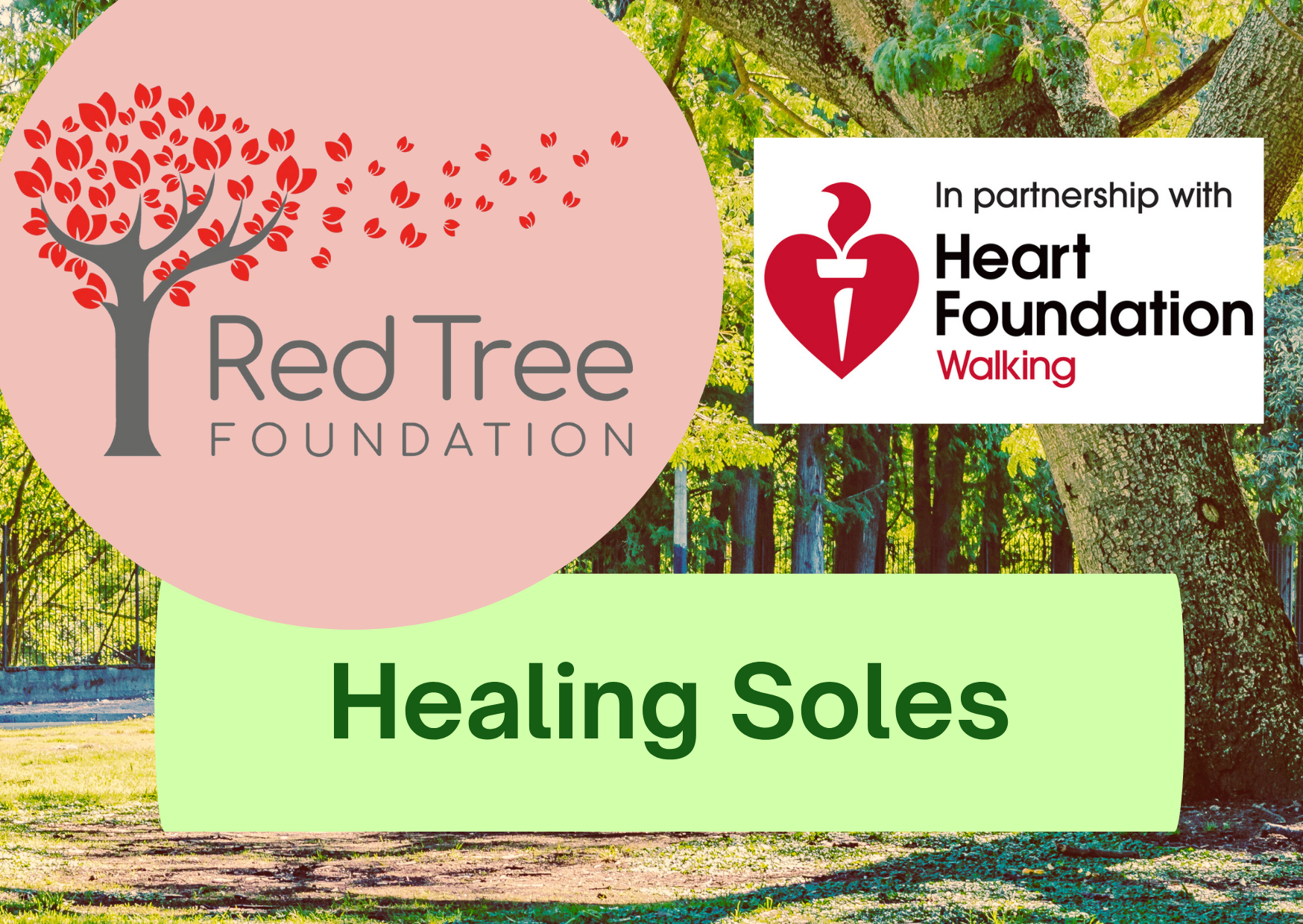 Healing Soles - Bereavement Support | Heart Foundation Walking