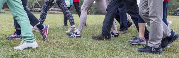 Walking Events | Heart Foundation Walking